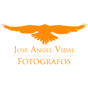 ¿Quiénes somos? - Jose Ángel Vidal